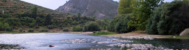 MUSSELp | What's New?